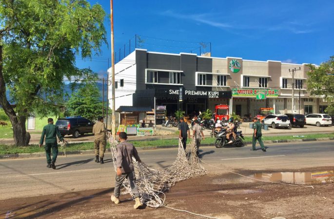 Satpol PP dan WH Aceh Besar Kembali Amankan Dua Ekor Sapi di Jalan Soekarno Hatta - oketrend.id